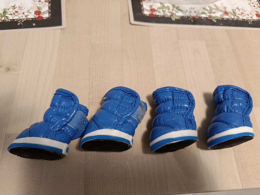 Ботинки для мелких пород