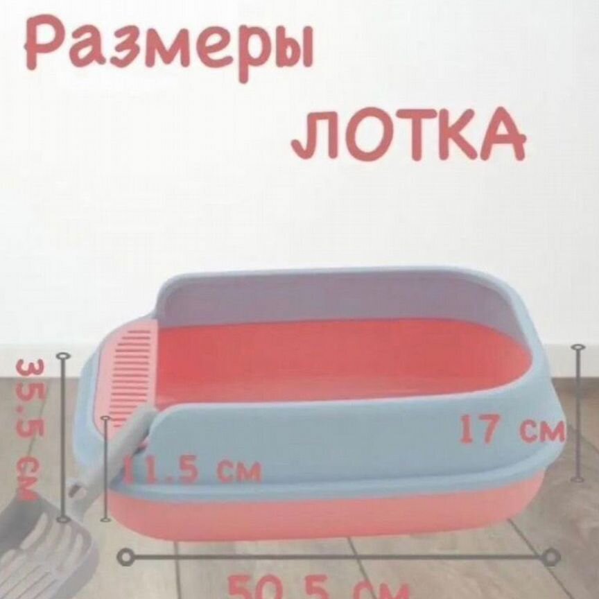 Лоток
