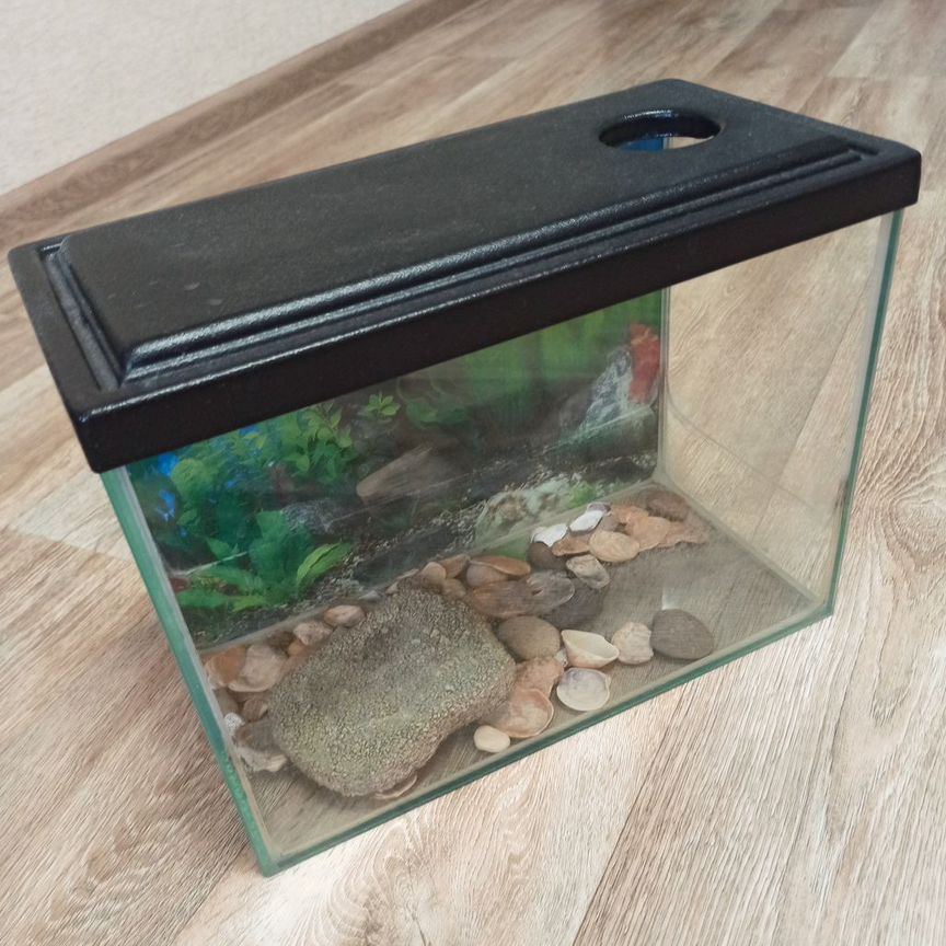 Аквариум террариум