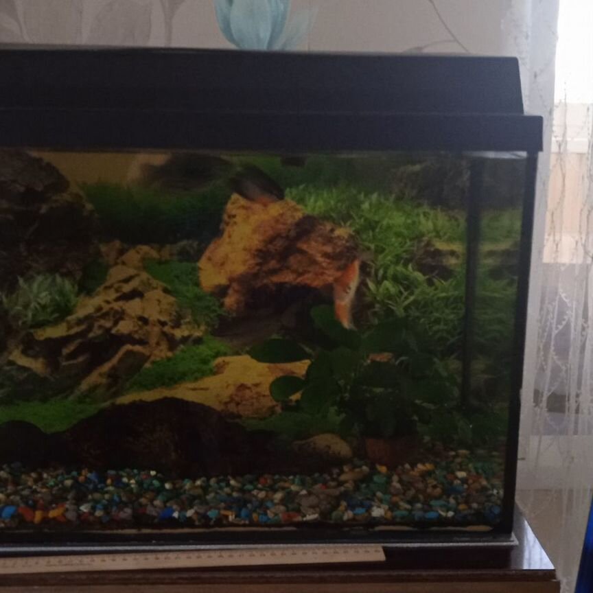 Аквариум для рыб 70 литров