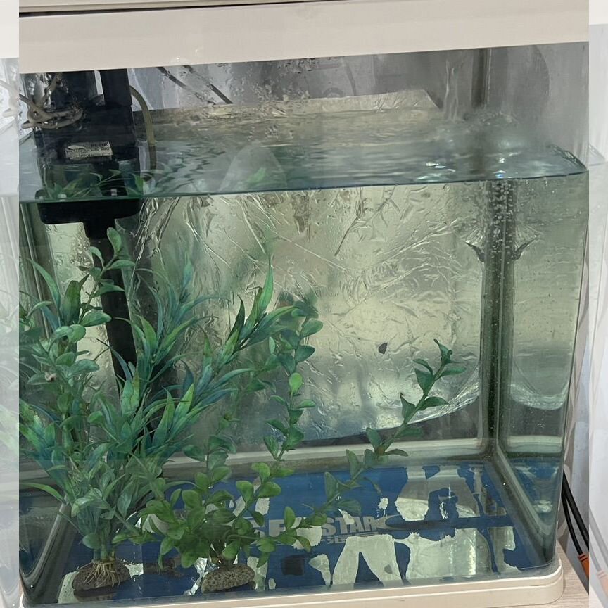 Аквариум для рыбок