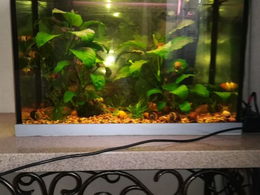 Аквариум 70л с оборудованием