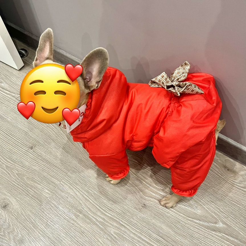 Комбинезон зимний с юбочкой для собак (девочка)