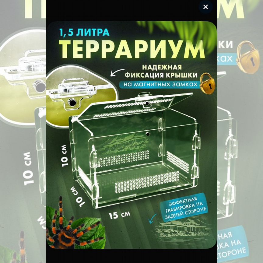 Террариум для рептилий