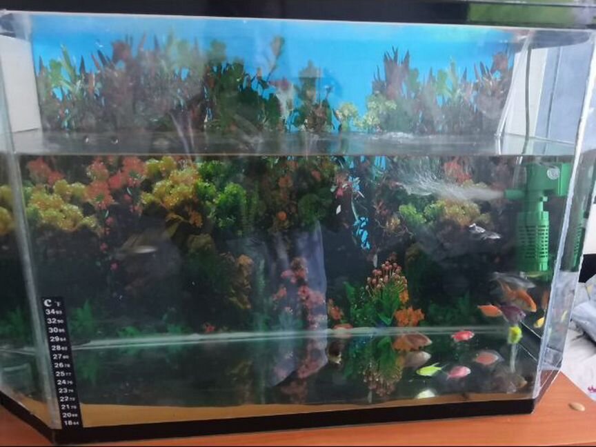 Аквариум с рыбками