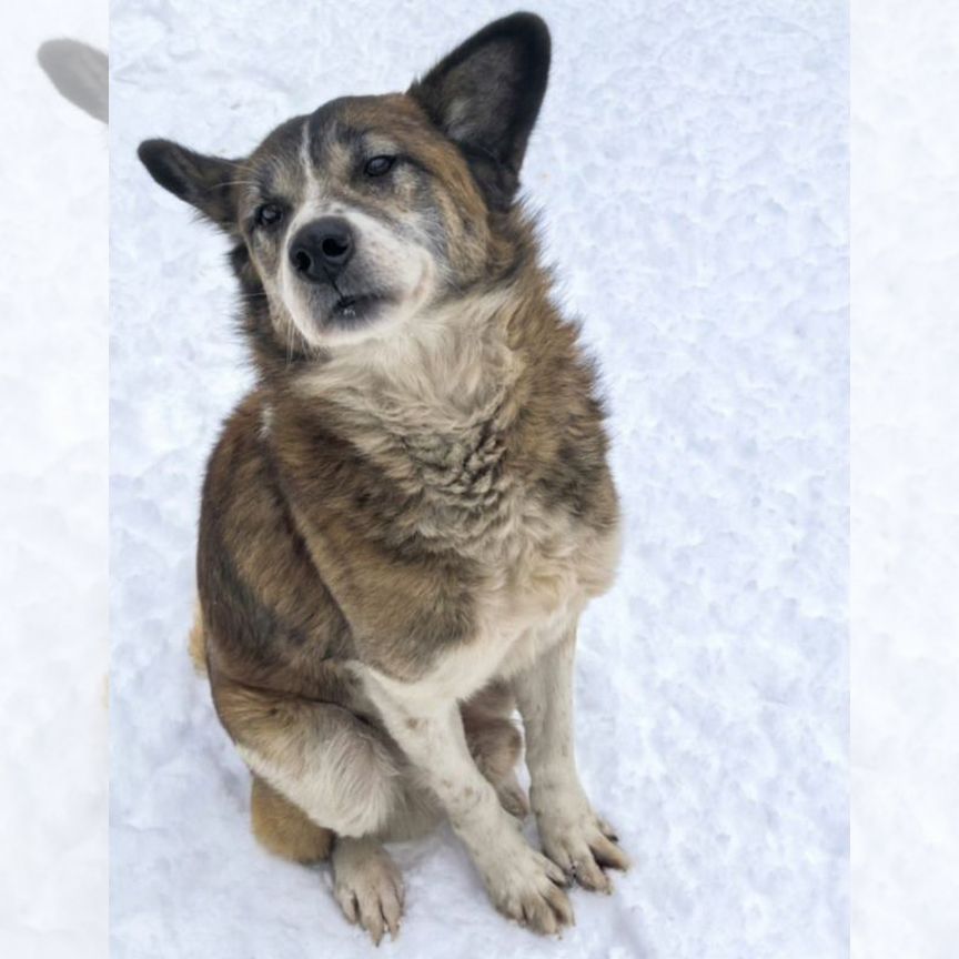 Мы нужны друг другу