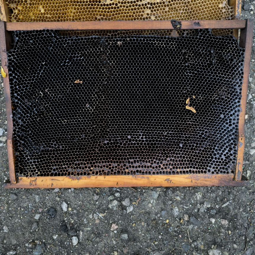 Рамки для пчел