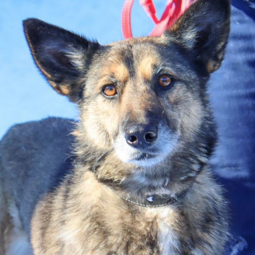 Жуля ждёт вас