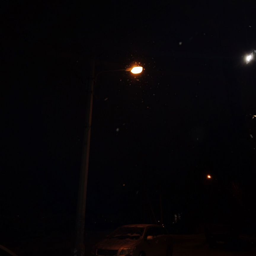 Продам собаку