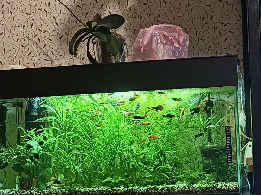 Аквариумы комплект