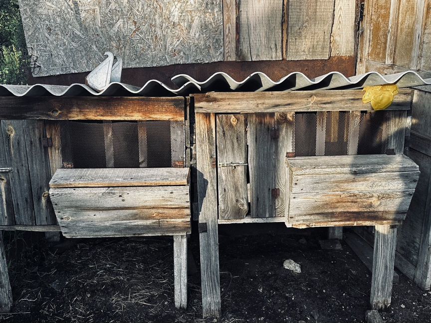 Клетки кроличьи