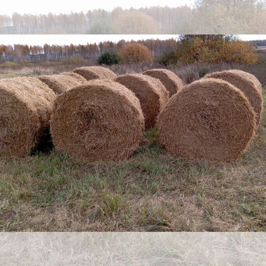 Солома в тюках