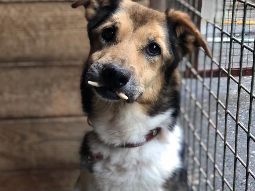 Зита не виновата что родилась не красивой