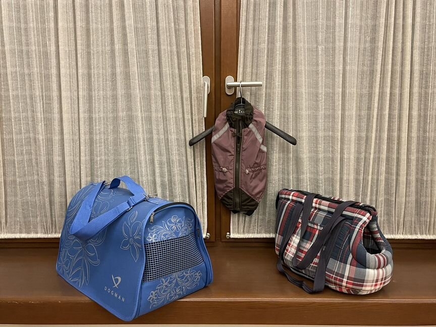 Собачьи переноски и комбинезон