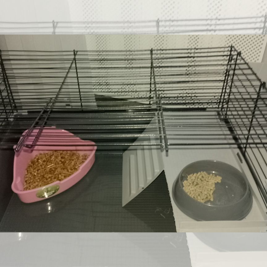 Клетка для декоративного кролика