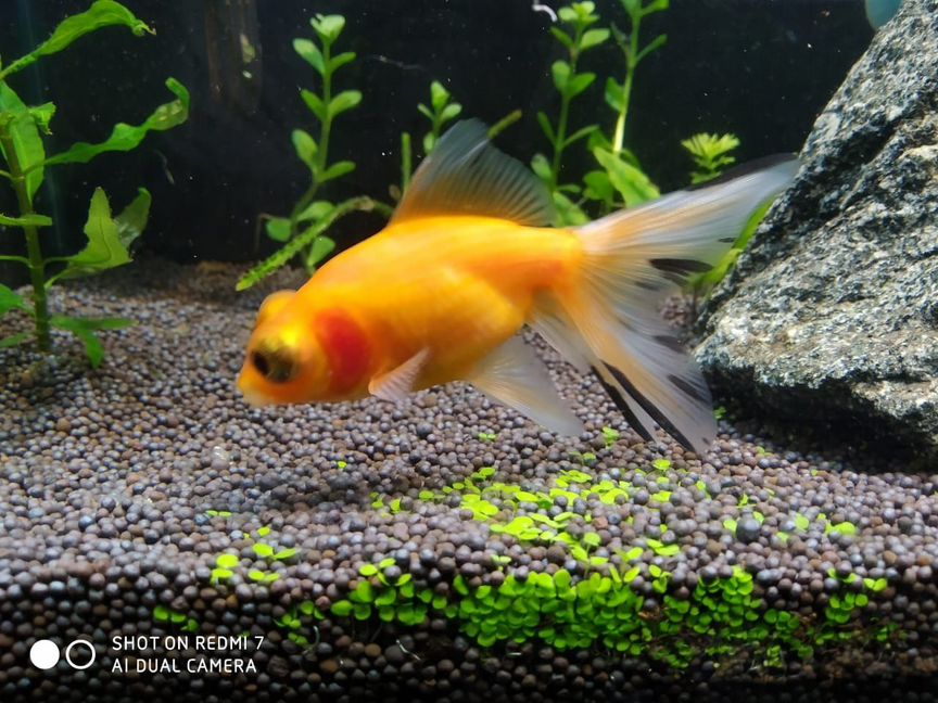 Аквариум действующий