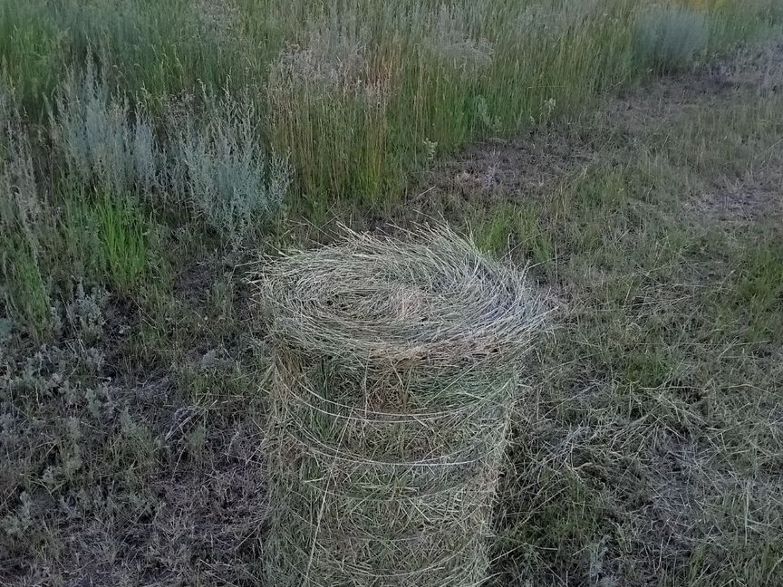 Сено в мини рулонах