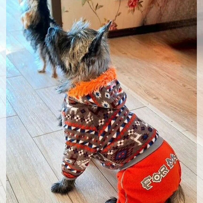Одежда для собак