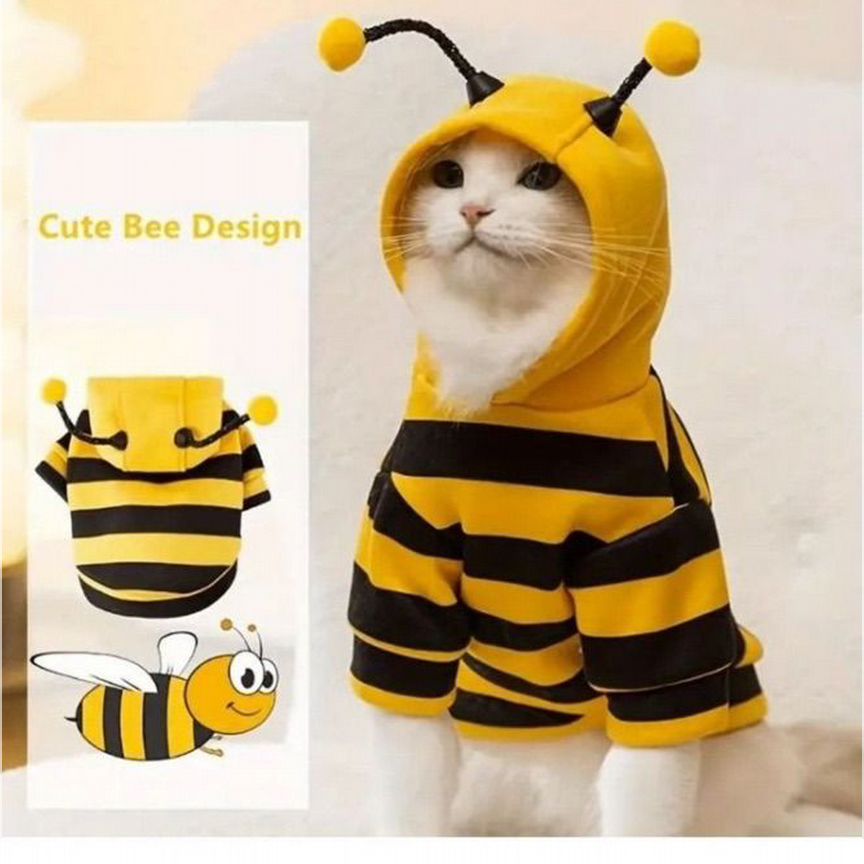 Новый костюм для кощки или собаки