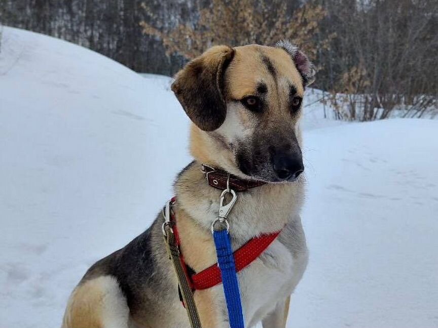 Тима из приюта ищет семью