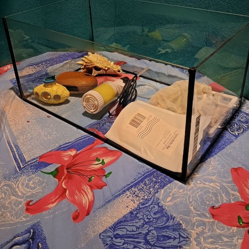 Аквариум с оборудованием