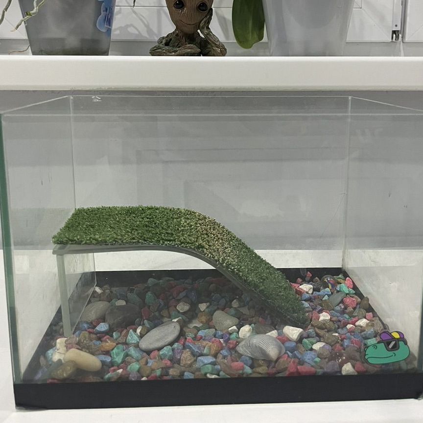 Аквариум для черепахи