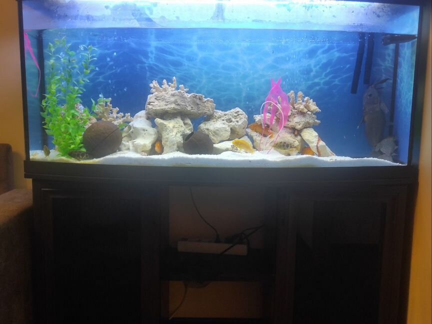 Аквариум с тумбой 300 литров