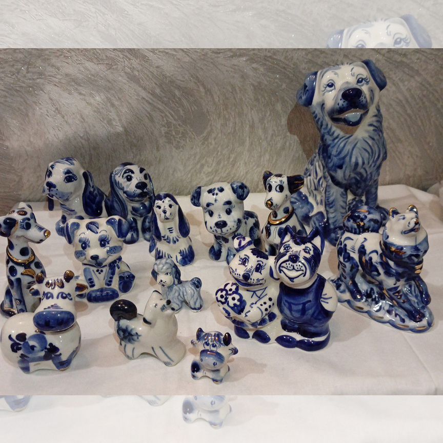 Лайка, взрослая собака