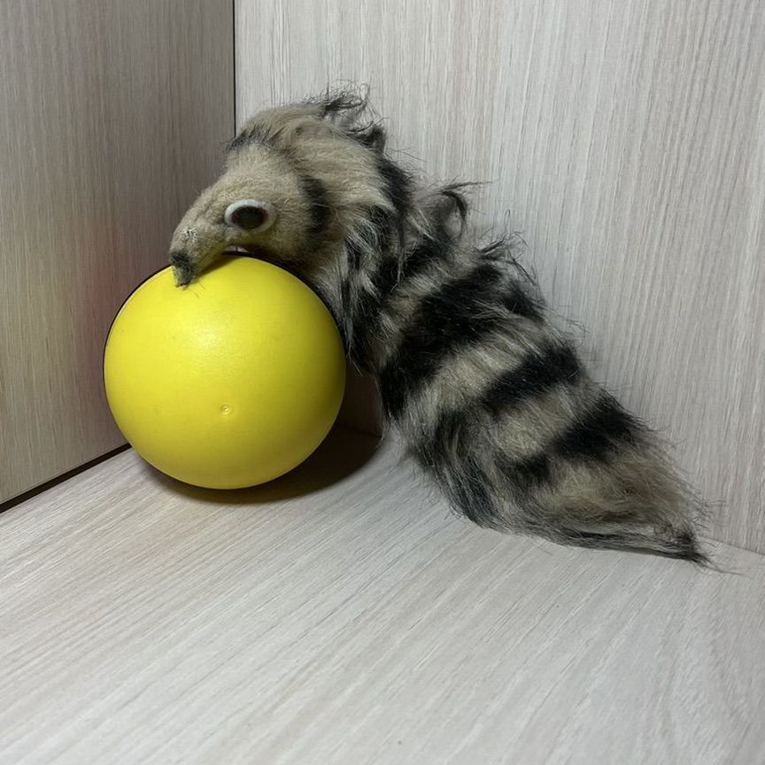 Игрушка мангуст бегающий за шариком