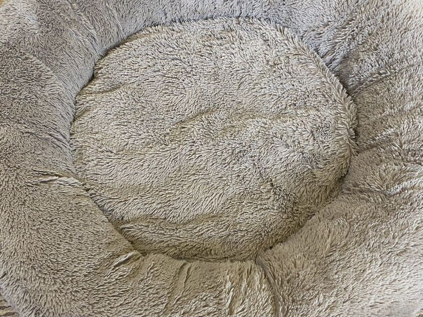 Лежанка для собак