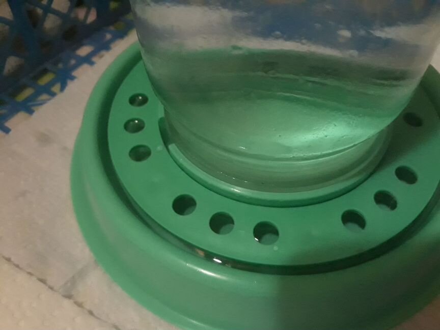 Поилка для суточных перепелов