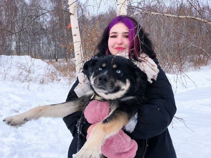 Дакота ищет дом (собака из приюта)