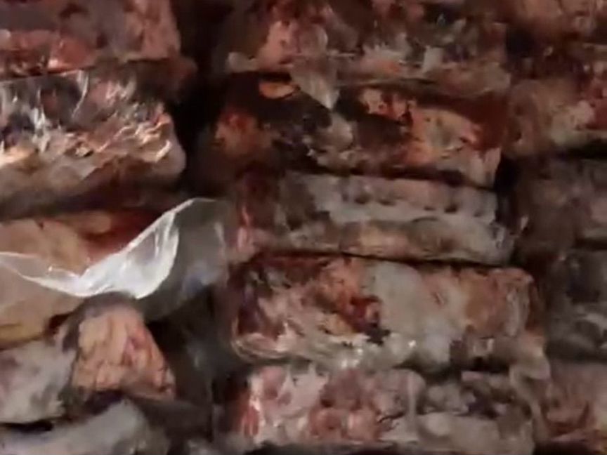 Собачий корм