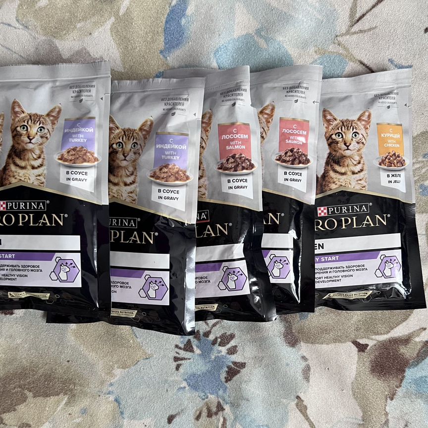 Pro plan корм для котят влажный
