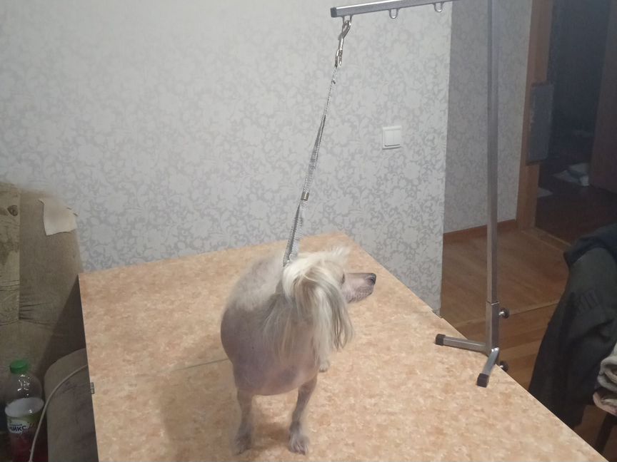 Стойка для стрижки собак