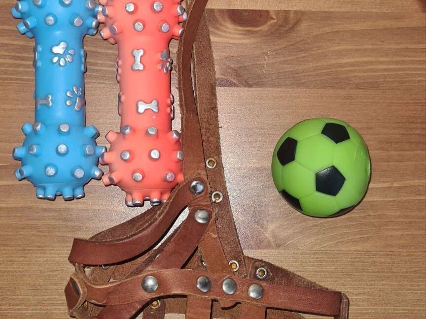 Намордник + игрушки