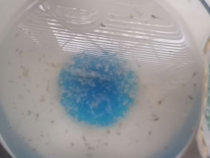 Аквариумные рыбки 16 шт