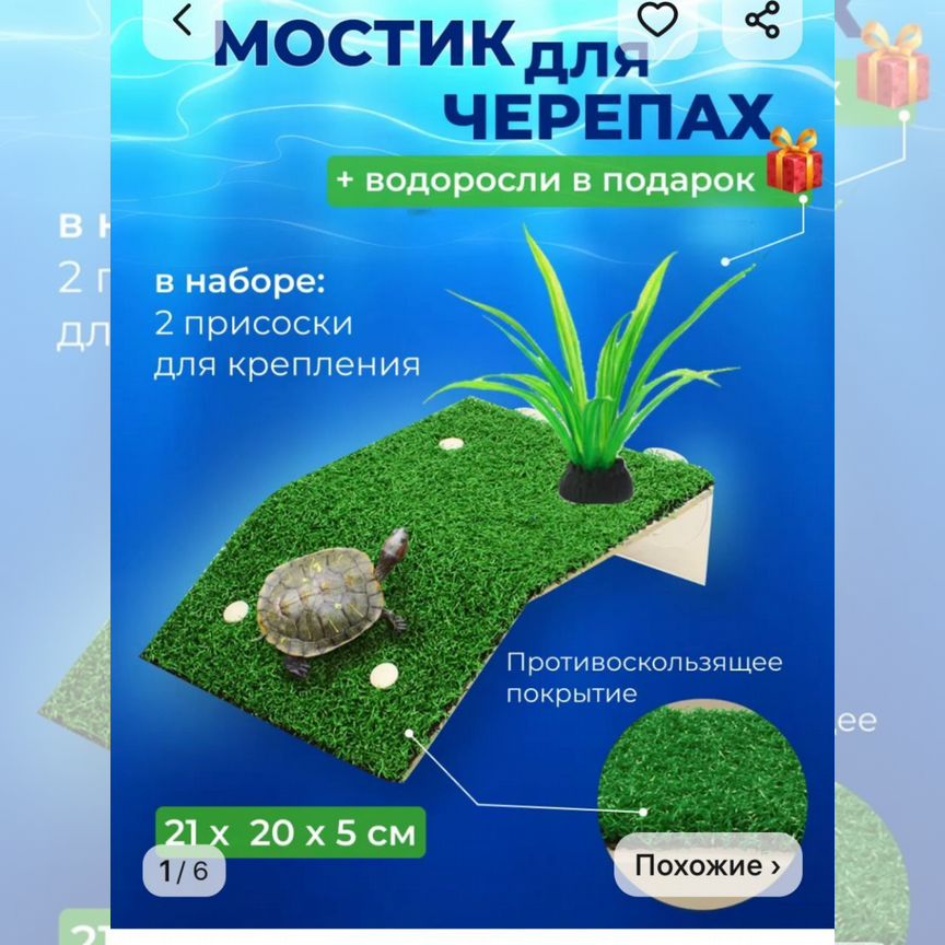 Островок для черепахи