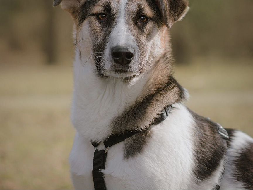 Холли с детства в приюте