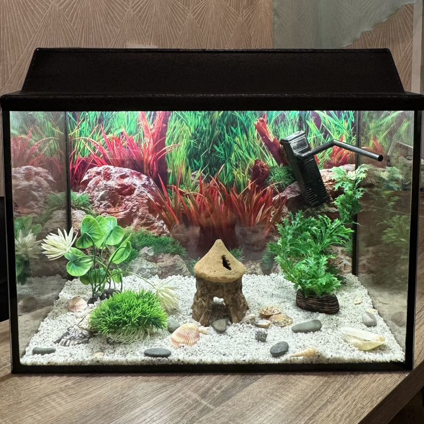 Аквариум 50 литров