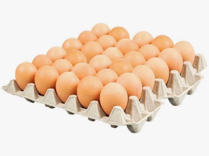 Продаю инкубационое яйцо