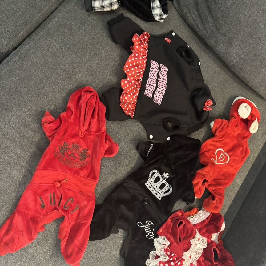 Пакет одежды для собаки новый