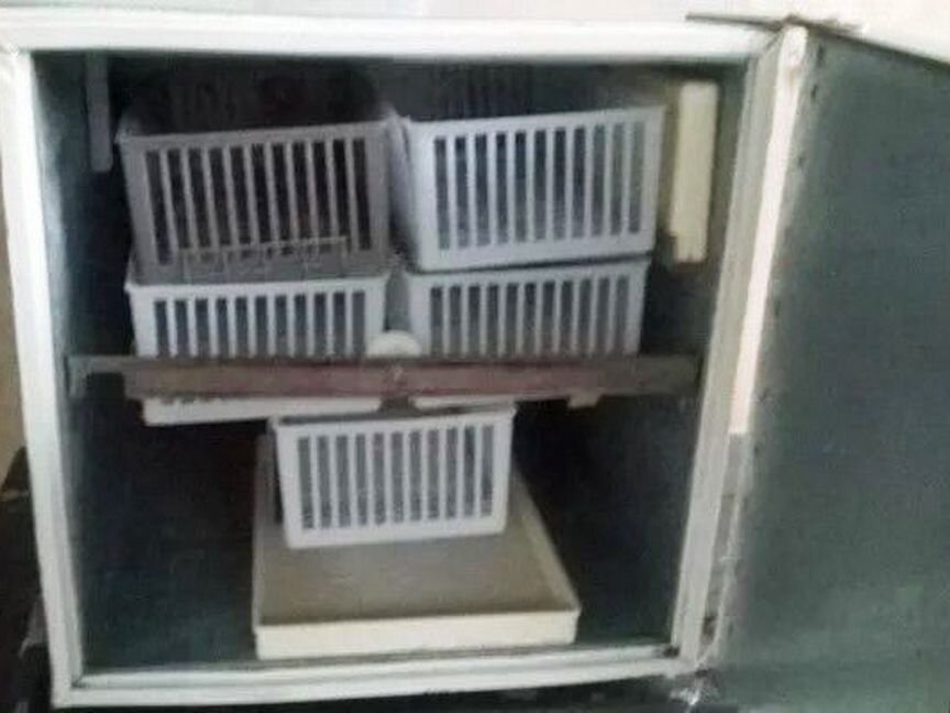 Автоматический Инкубатор Петушок ипх-10