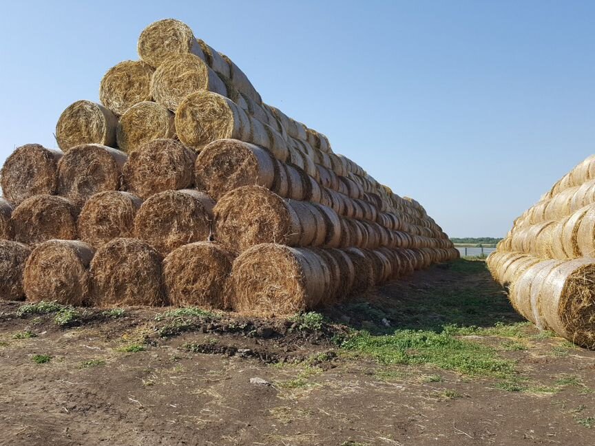 Сено В рулонах