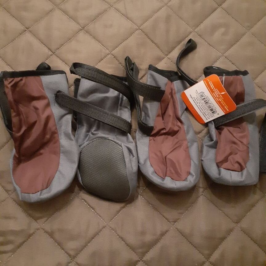 Обувь для собак крупных пород