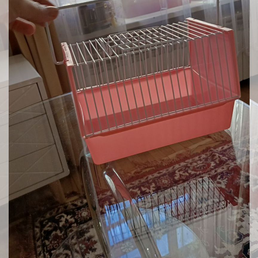 Переноска для грызунов и птиц