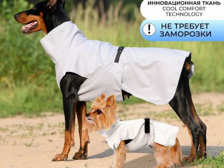 Охлаждающая попона для собак 60см