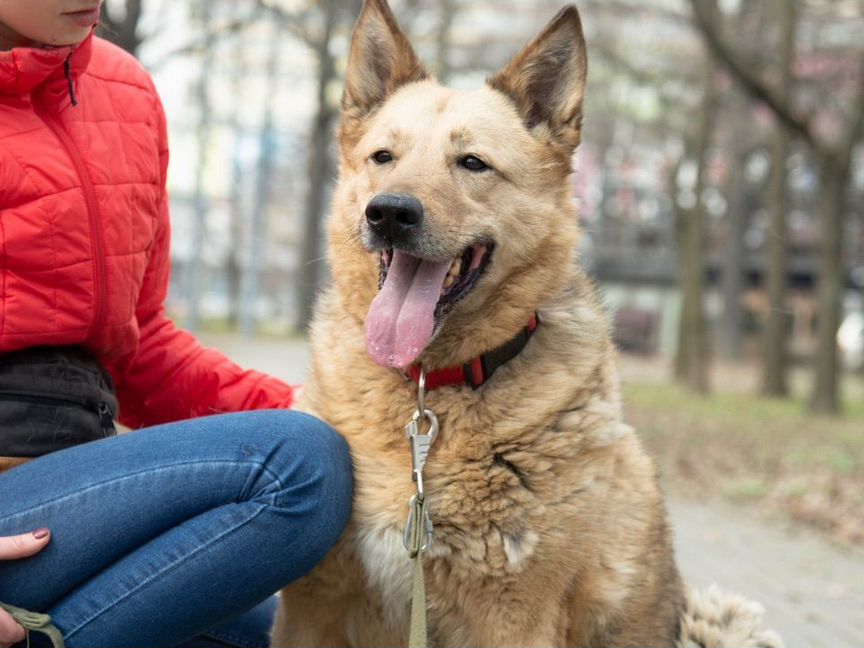 Булочка загадывает семью