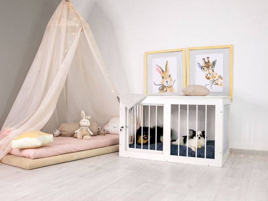 Дизайнерские вольеры для собак и кошек