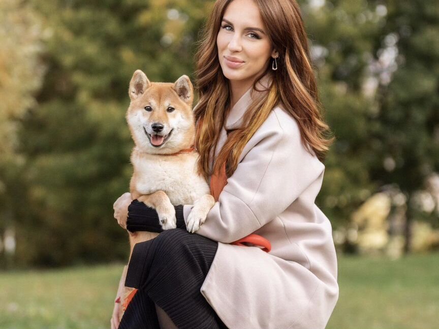 Сиба ину в аренду фото и видео